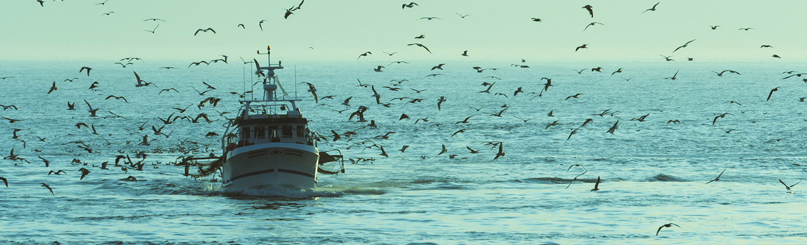 Barry, Corrado & Grassi | Cape May | Cumberland – Cape May County Law Firm